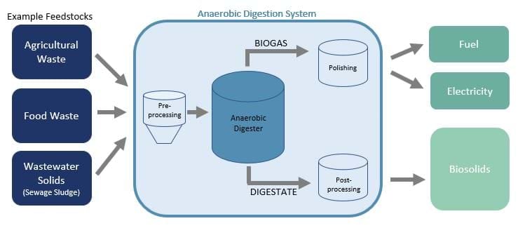 Anaerobic Digestion for Sewage Sludge Management | Cambi