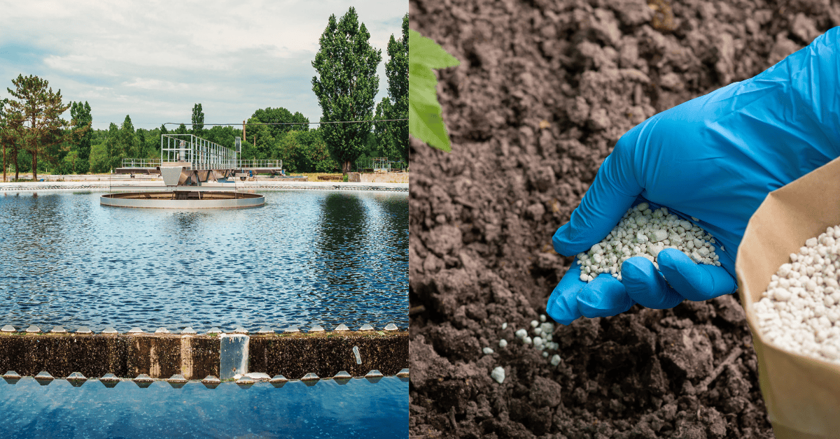Phosphorus Recovery in Wastewater Treatment | Cambi
